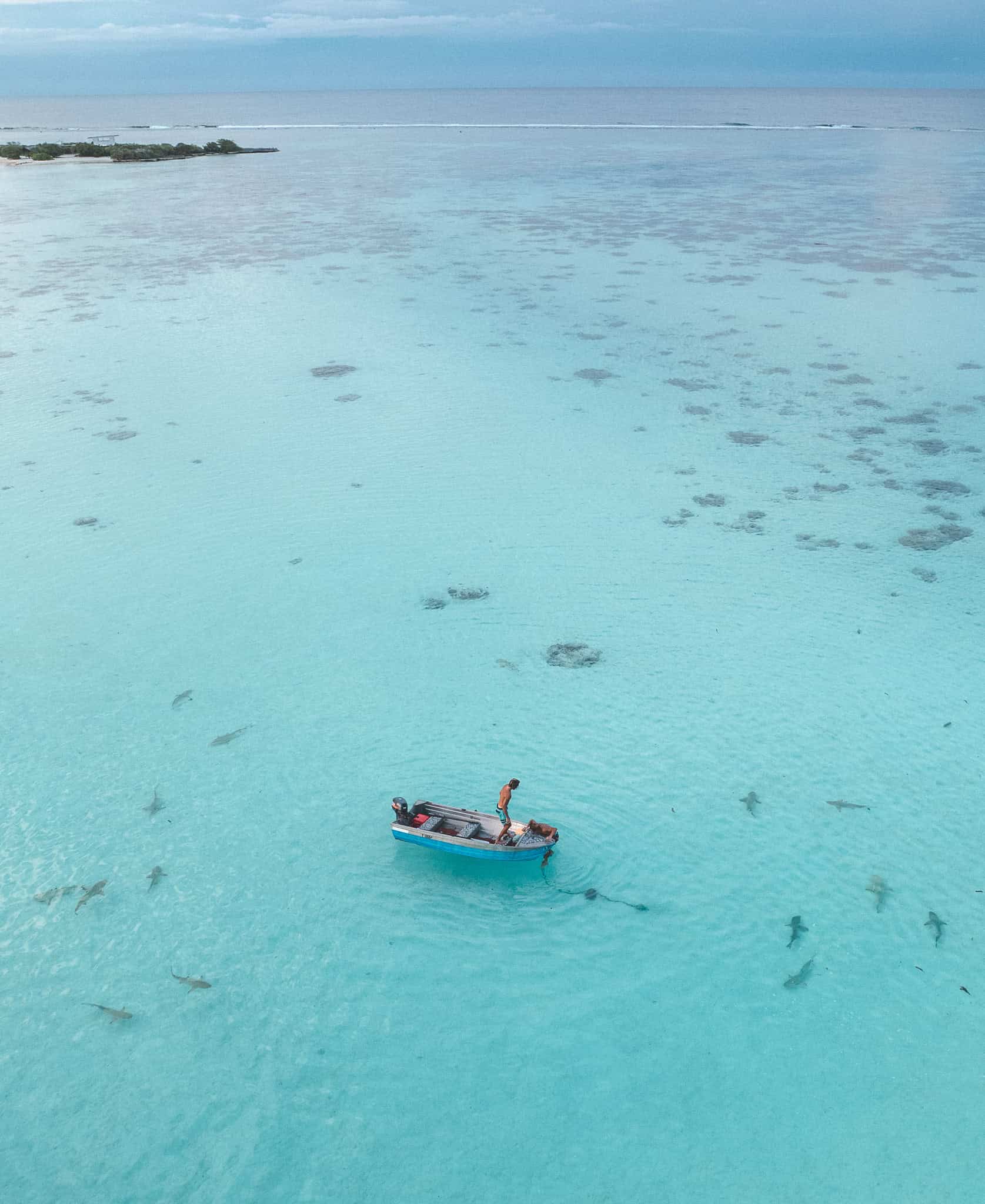 2 Week French Polynesia Itinerary, Everything You Need To Know - Boho ...