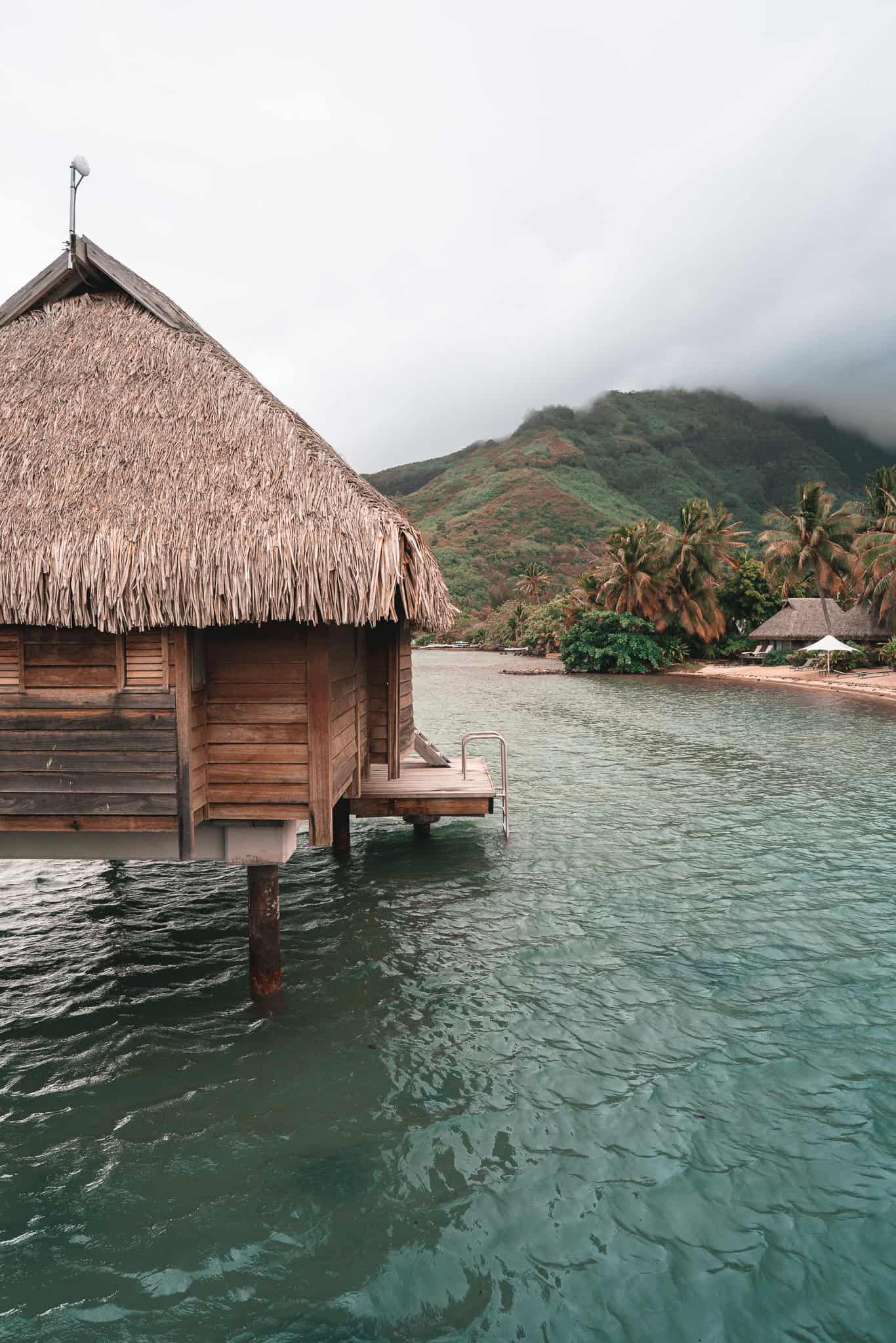 Honeymoon In Moorea? 16 Things To Do & Tips - Boho And Salty | Endless ...